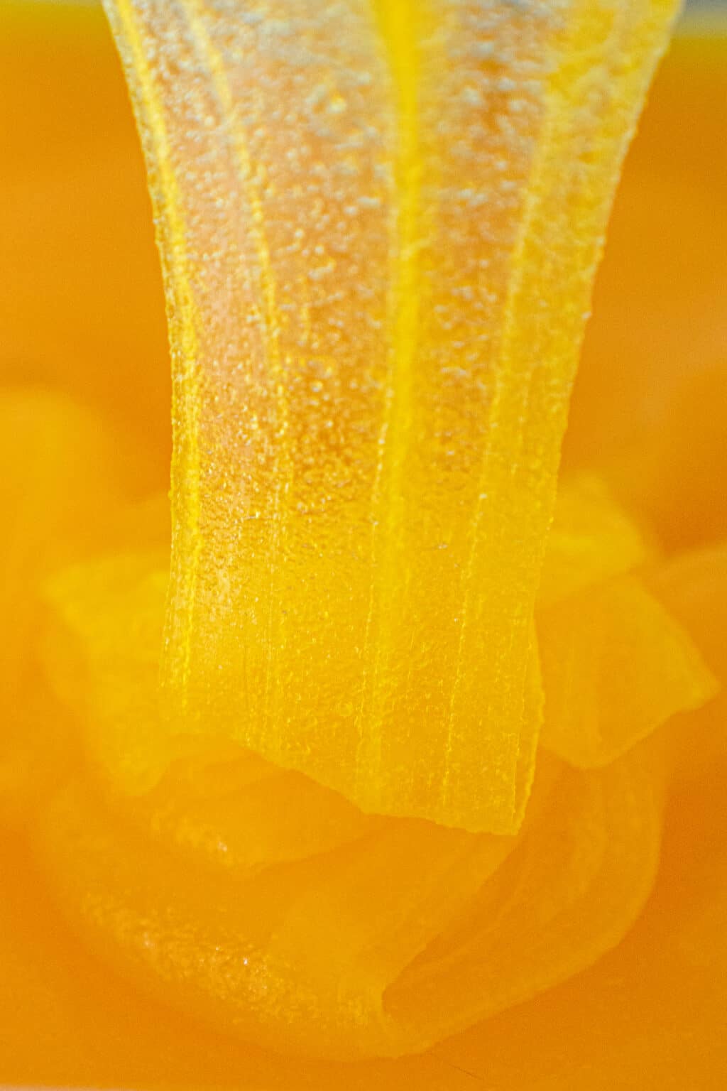 Slime Texture Guide - Sea Dragon Slime Shop